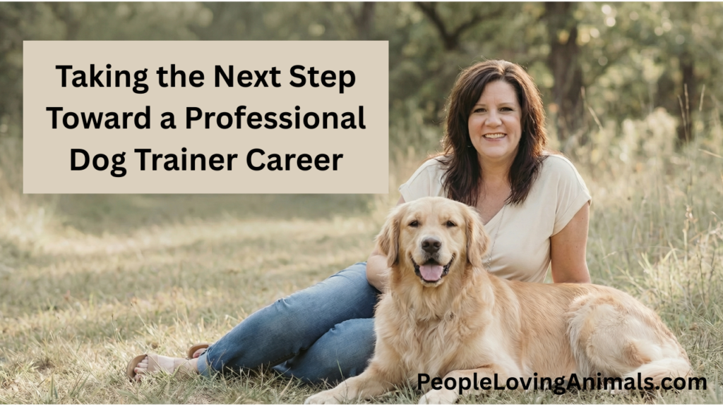 Best Dog Trainer Certification Programs for a Real Career