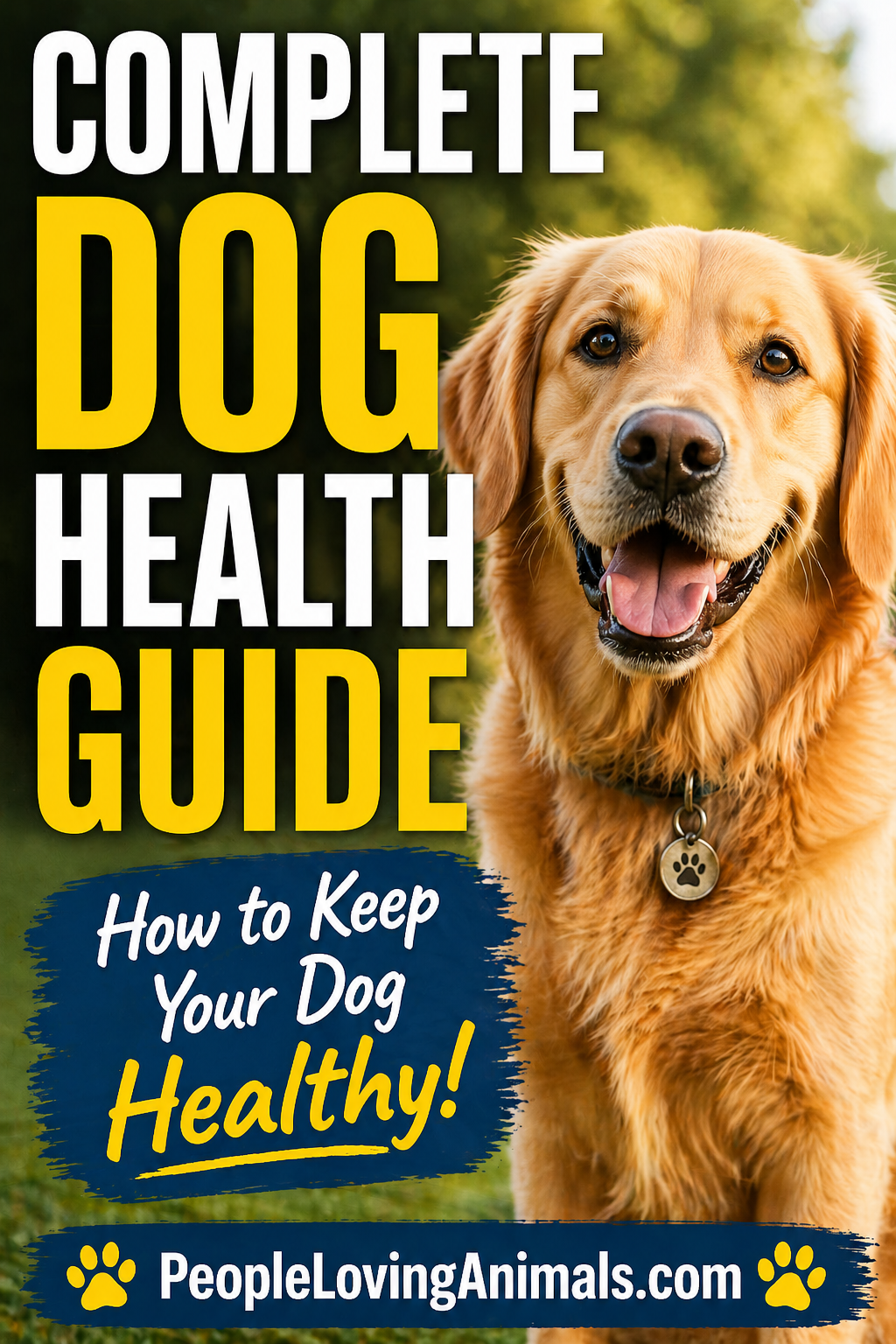 Complete Dog Health Guide - How to Keep Your Dog Healthy